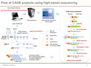 Tag-based transcript sequencing: Comparison of SAGE and CAGE | PDF