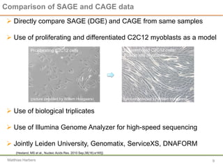 Tag-based transcript sequencing: Comparison of SAGE and CAGE | PDF