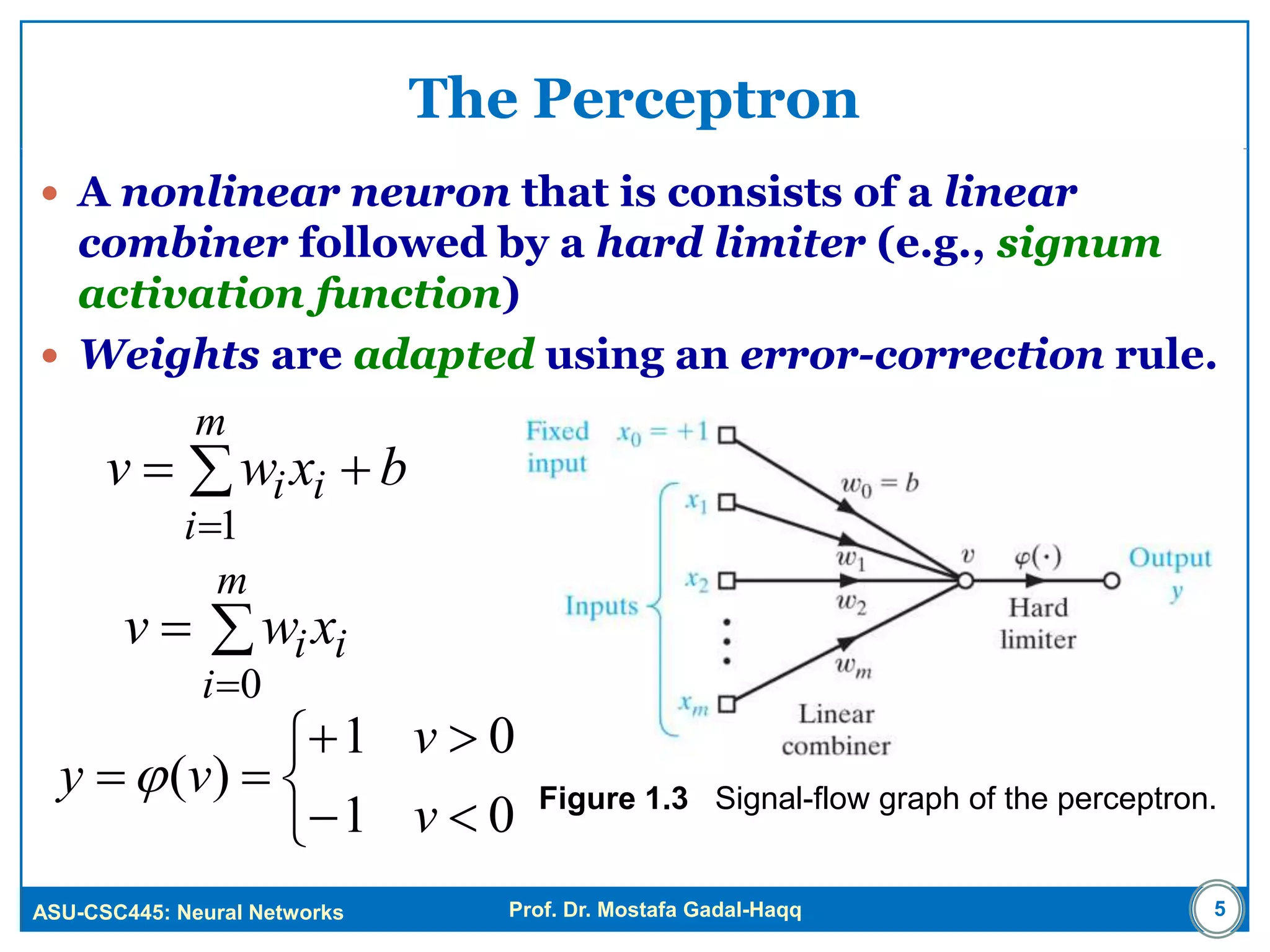 Neural Networks: Rosenblatt's Perceptron | PDF