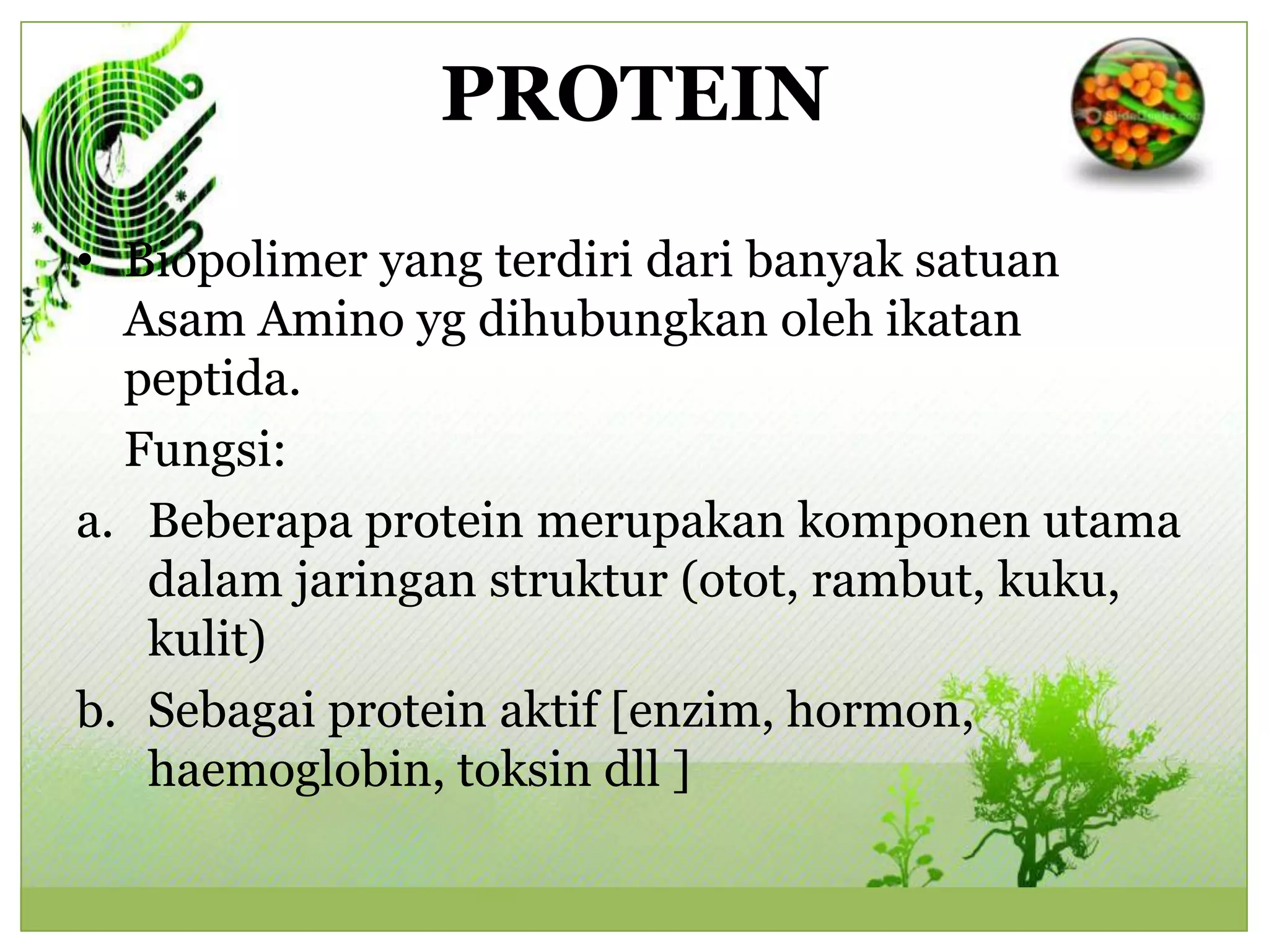asam amino dan protein enzim | PPTX