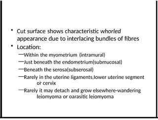 Leiomyoma of uterus,patho practical (1).p | PPTX