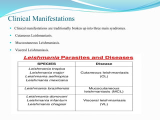 Leishmanaisis | PPTX