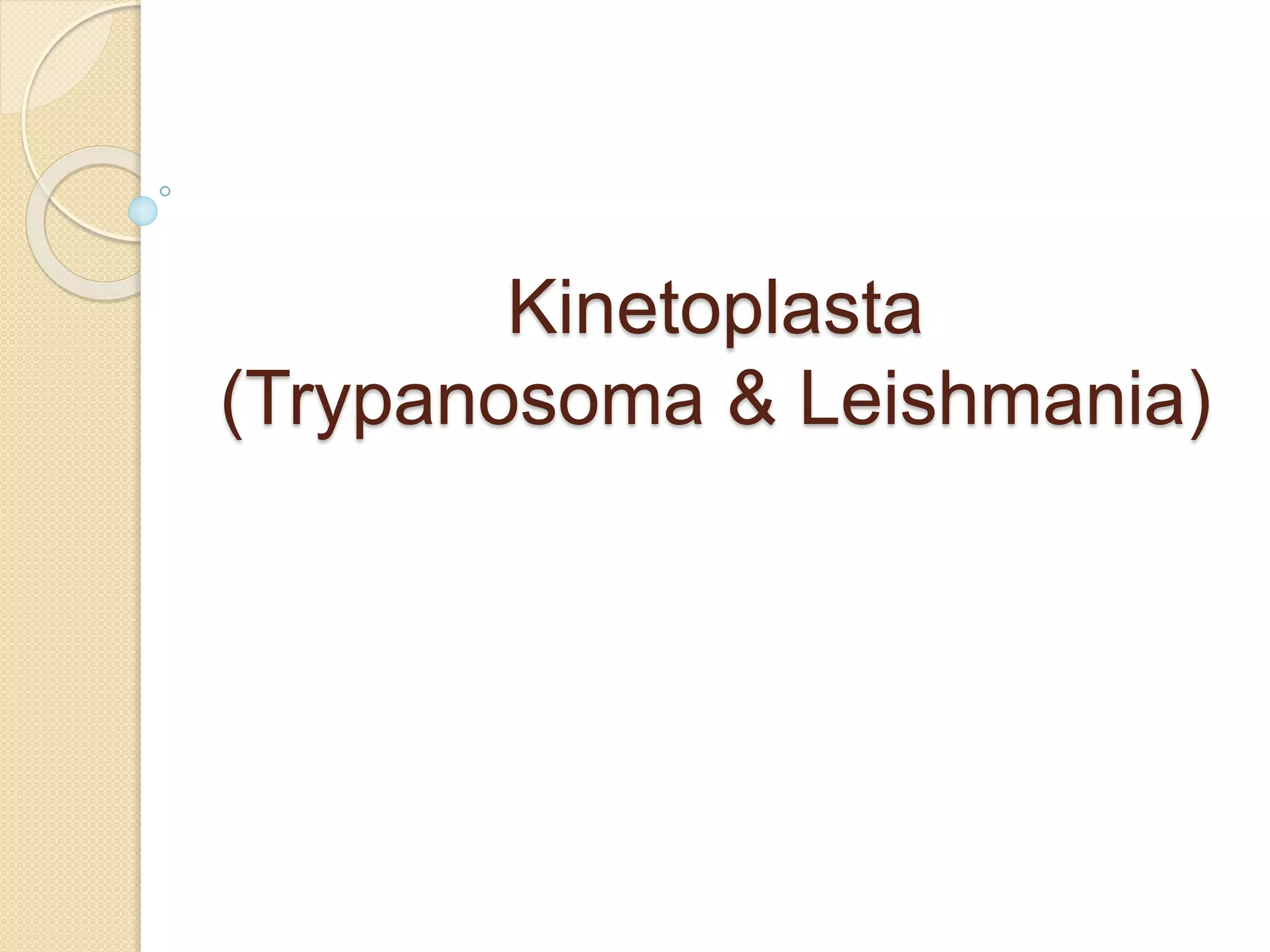 Kinetoplasta (Trypanosoma & Leishmania) | PPTX