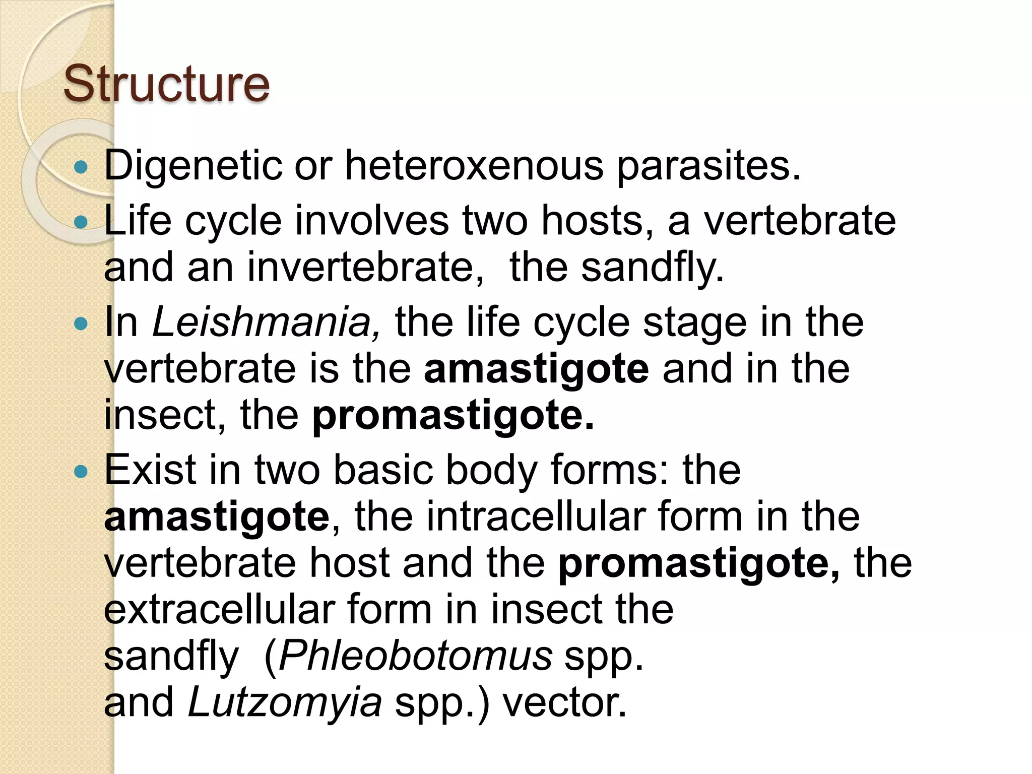 Kinetoplasta (Trypanosoma & Leishmania) | PPTX
