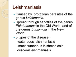 Kinetoplasta (Trypanosoma & Leishmania) | PPTX