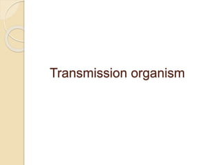 Kinetoplasta (Trypanosoma & Leishmania) | PPTX