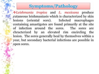 Leishmania | PPTX | Infectious Diseases | Diseases and Conditions