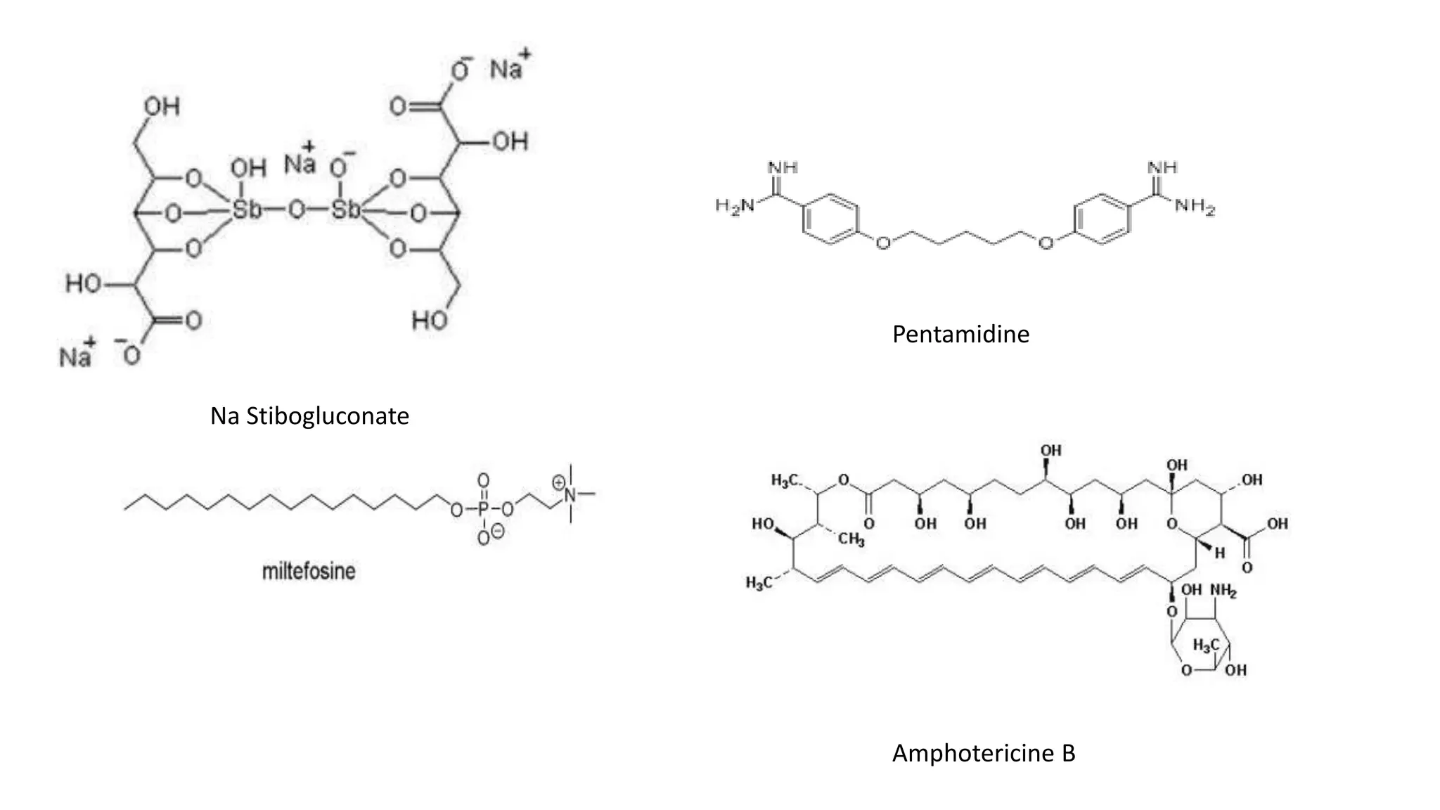 Leishmania and its potential drug targets | PPTX
