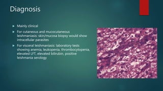 Leishmania - Dr Ameen Alawadhi | PPTX