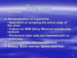 leishmania.pdf