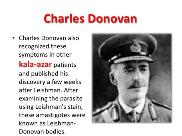 Unveiling the Intricacies of Leishmania donovani: Structure, Life Cycle, Pathogenicity ...