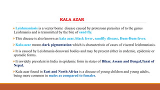 leishmania.pptx by Manoj Mahato Clinical Microbiologist | PPT