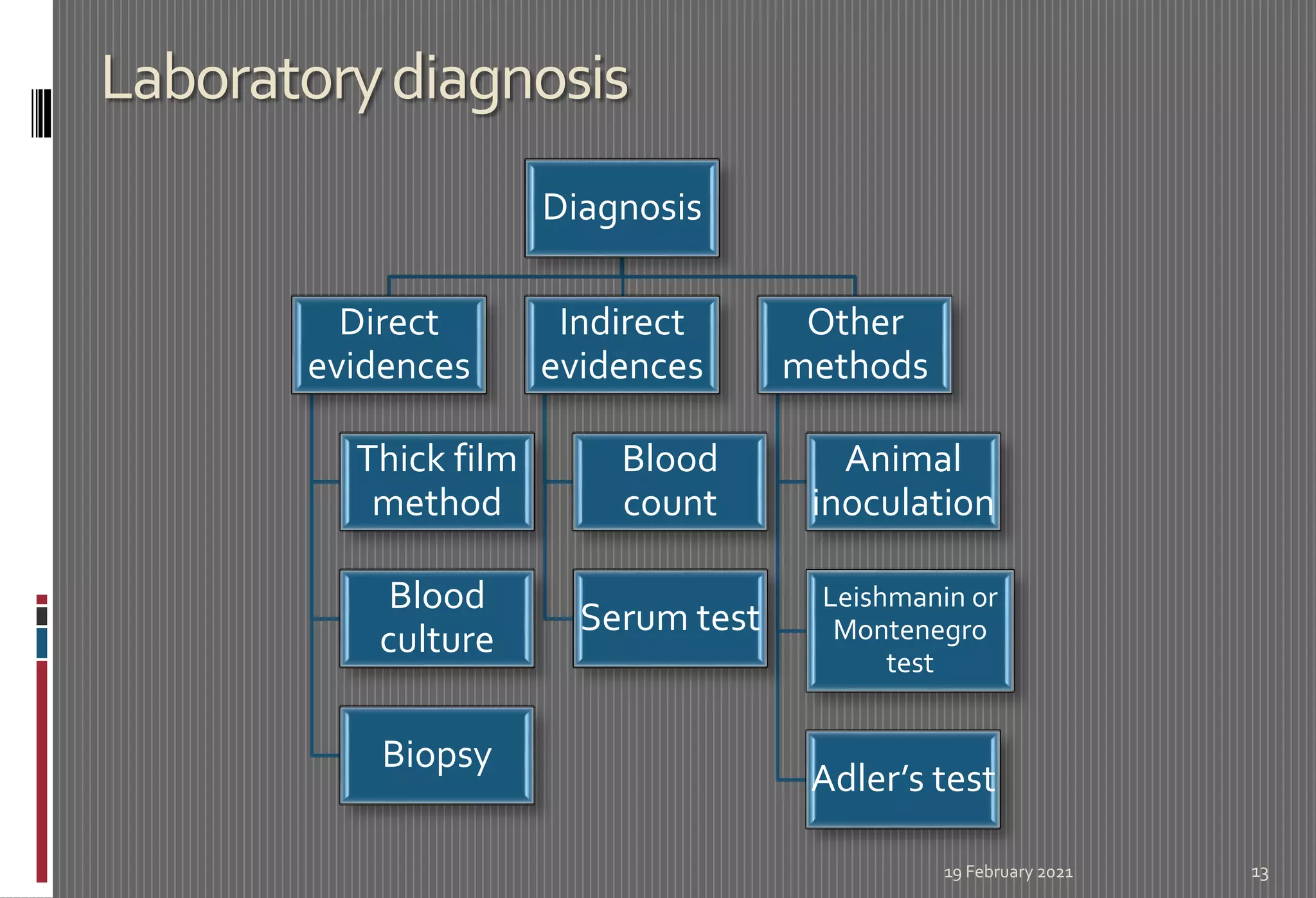 Leishmania donavani presentation | PPTX
