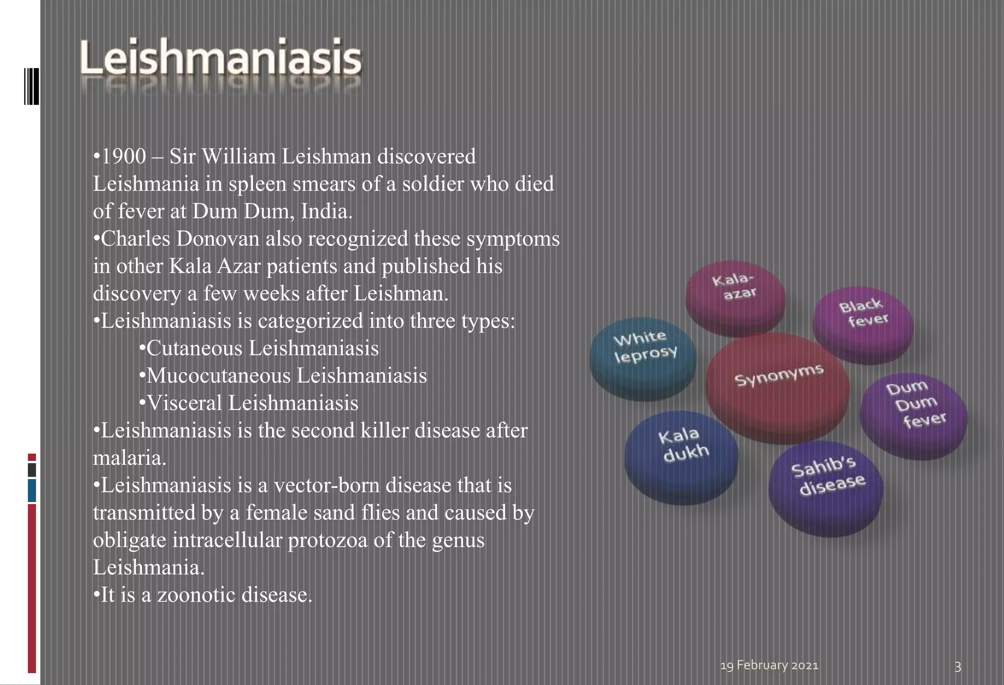 Leishmania donavani presentation | PPTX