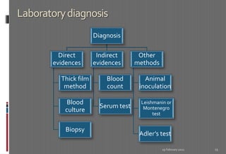 Leishmania donavani presentation | PPTX