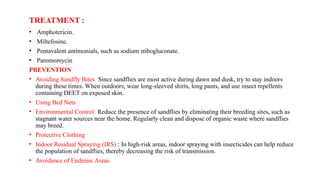 Leishmania donovani, Unveiling the Intricacies of a Parasite Responsible for Visceral ...