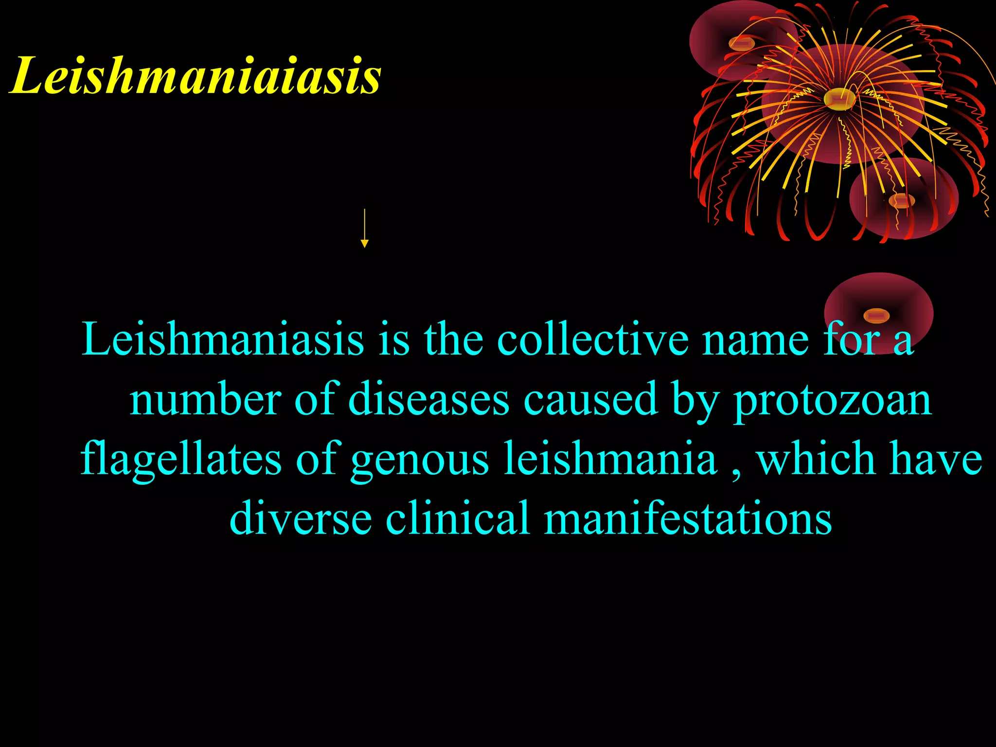 Leishmania parasites | PPT