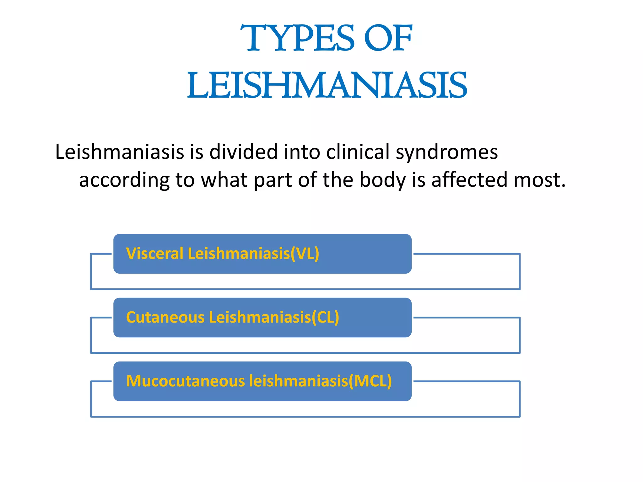 Leishmania | PPTX