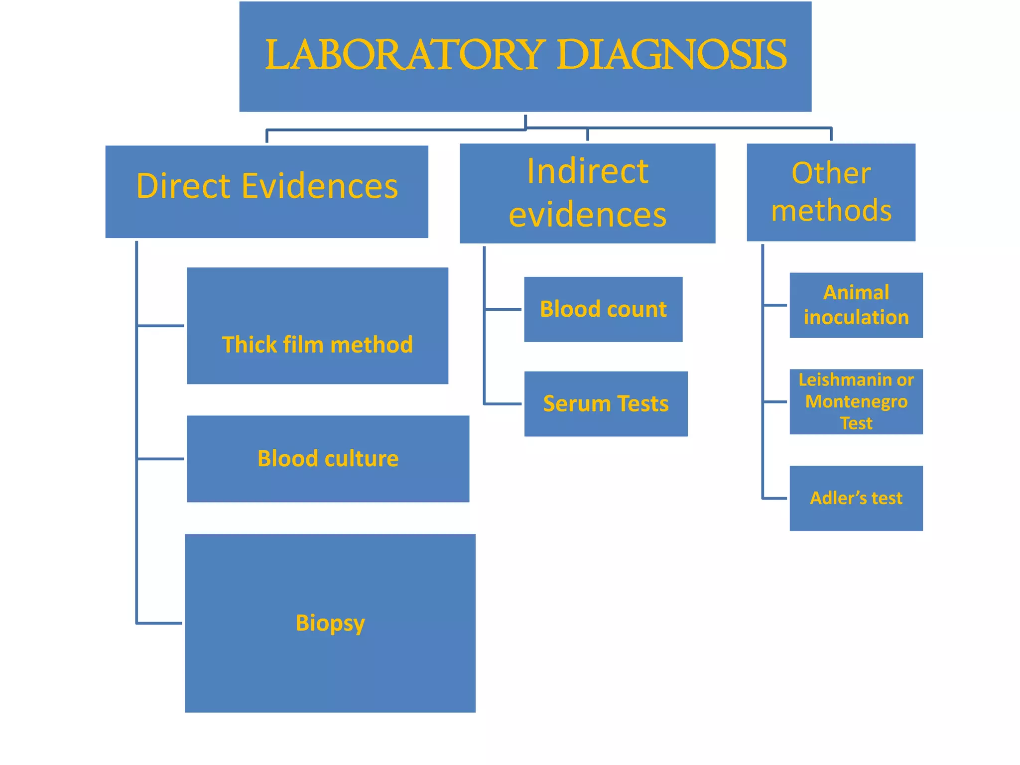 Leishmania | PPTX