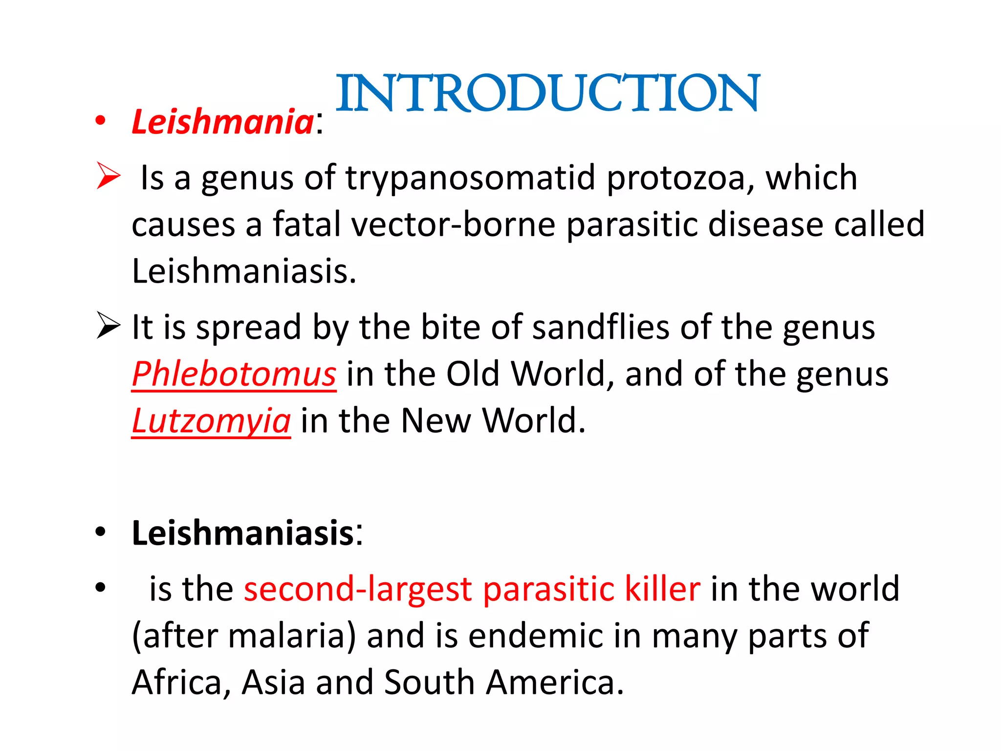 Leishmania | PPTX