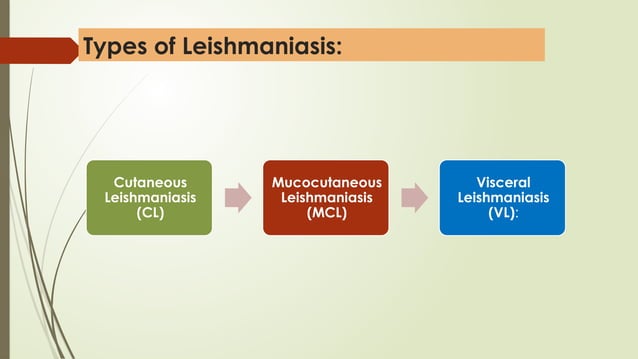 Leishmaniasis is a vector borne, parasitic disease | PPT