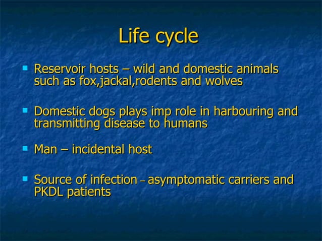 Leishmaniasis | PPT | Infectious Diseases | Diseases and Conditions