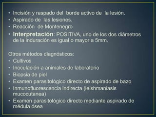 Leishmaniasis | PPTX