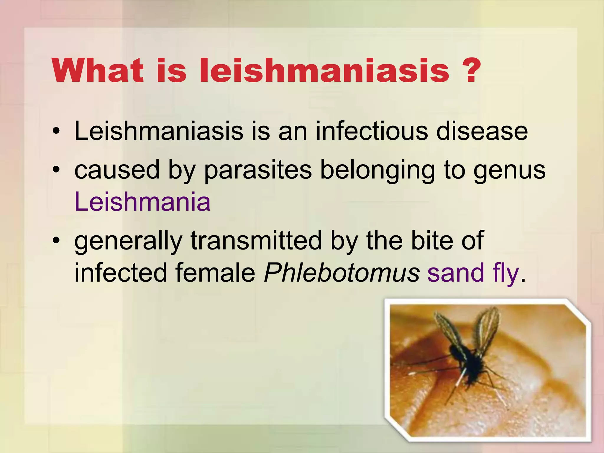 Leishmaniasis | PPTX