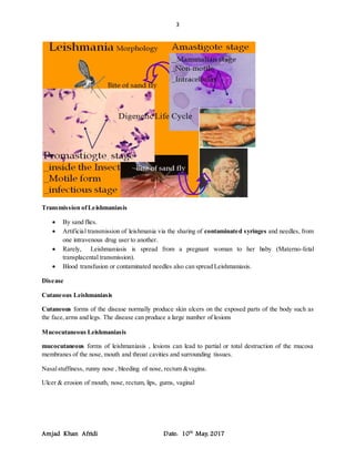 Leishmaniasis | DOCX