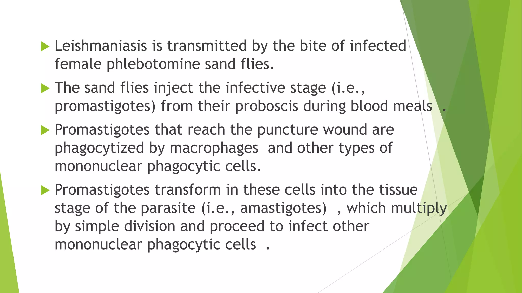 Leishmaniasis | PPTX