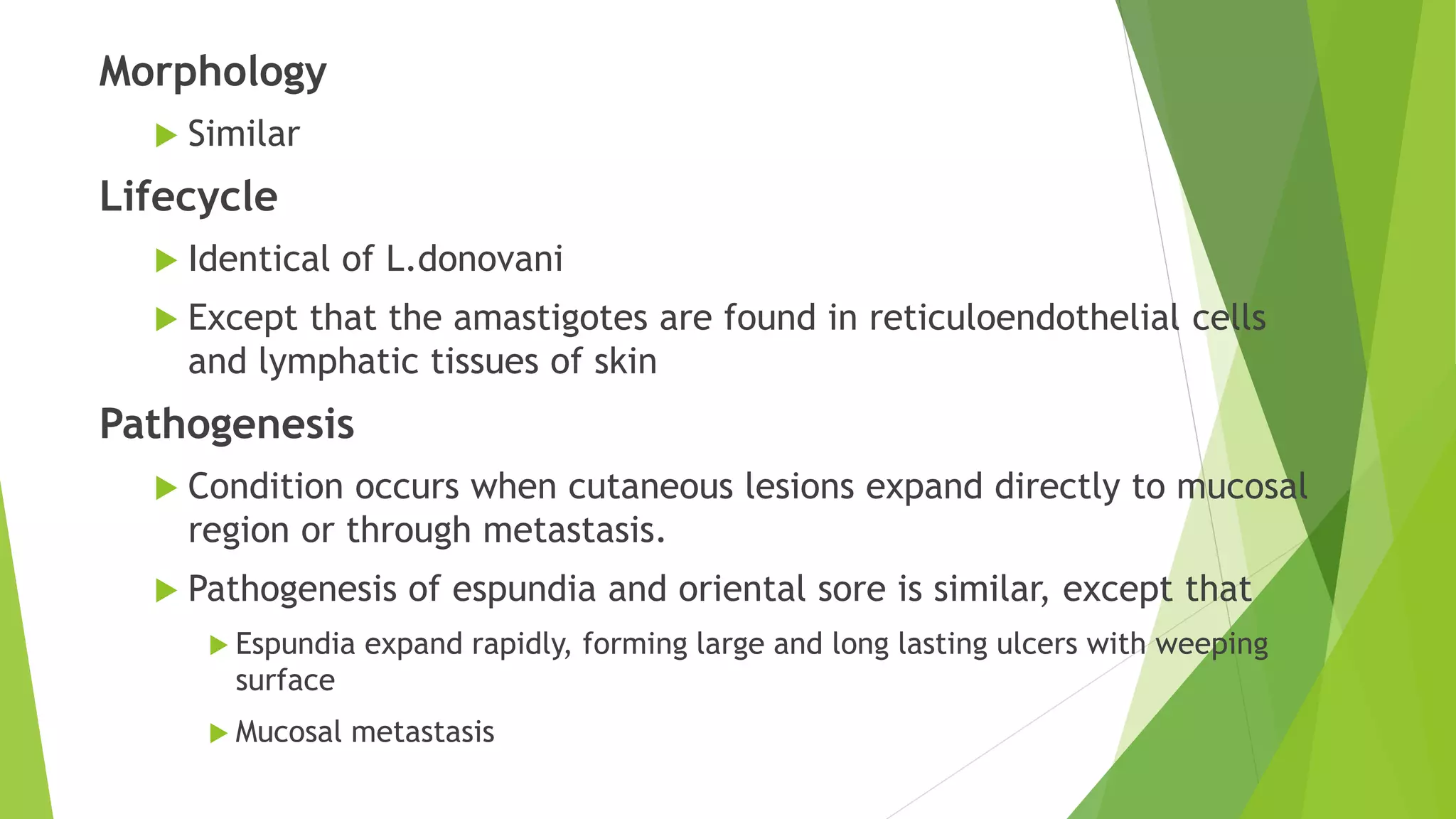Leishmaniasis | PPTX