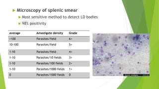 Leishmaniasis | PPTX