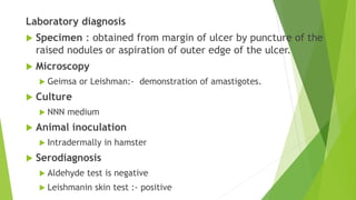 Leishmaniasis | PPTX