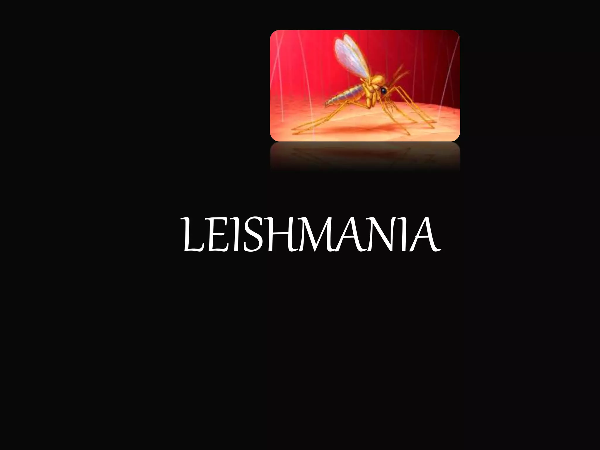Leishmania ,the parasite, Disease and Management | PPTX