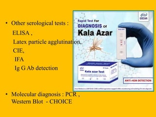 Leishmania ,the parasite, Disease and Management | PPTX