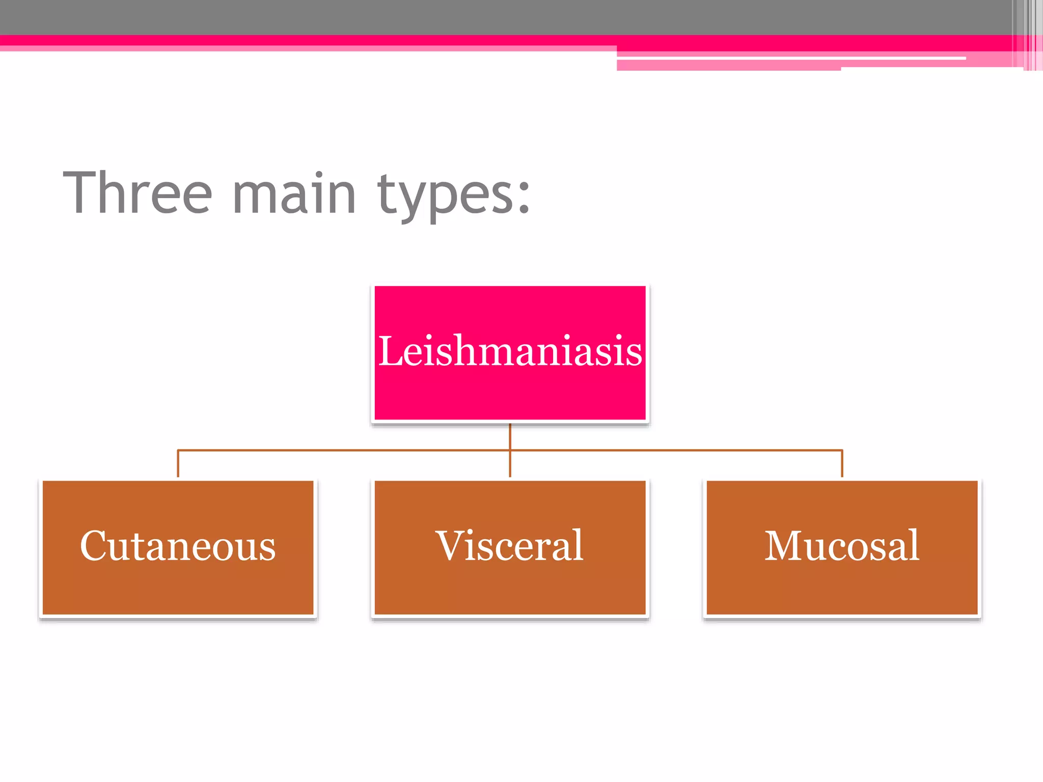 Leishmaniasis | PPTX | Infectious Diseases | Diseases and Conditions