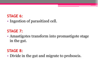 Leishmaniasis | PPTX