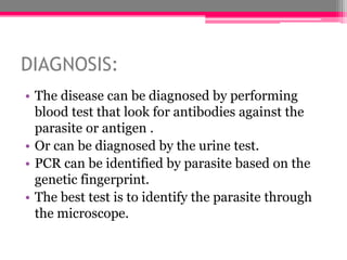Leishmaniasis | PPTX