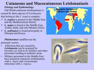 Leishmaniasis.ppt