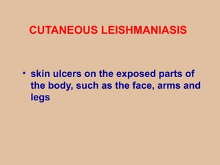 leishmaniasis a vector born Public health Diseases | PPT
