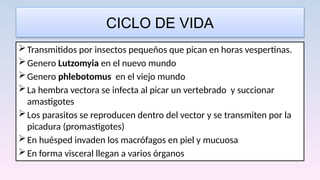 Que es la LEISHMANIASIS Dr Victor Bejar.pptx