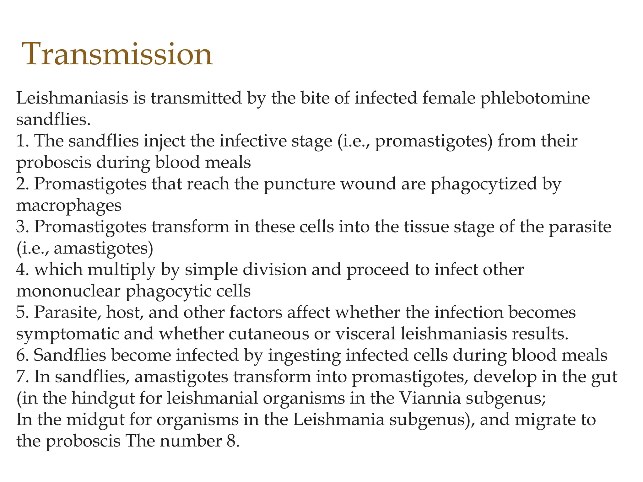 leishmaniasis microbiology medicine pptx | PPTX