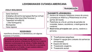 Leishmaniasis cutanea y visceral en pediatría.pptx
