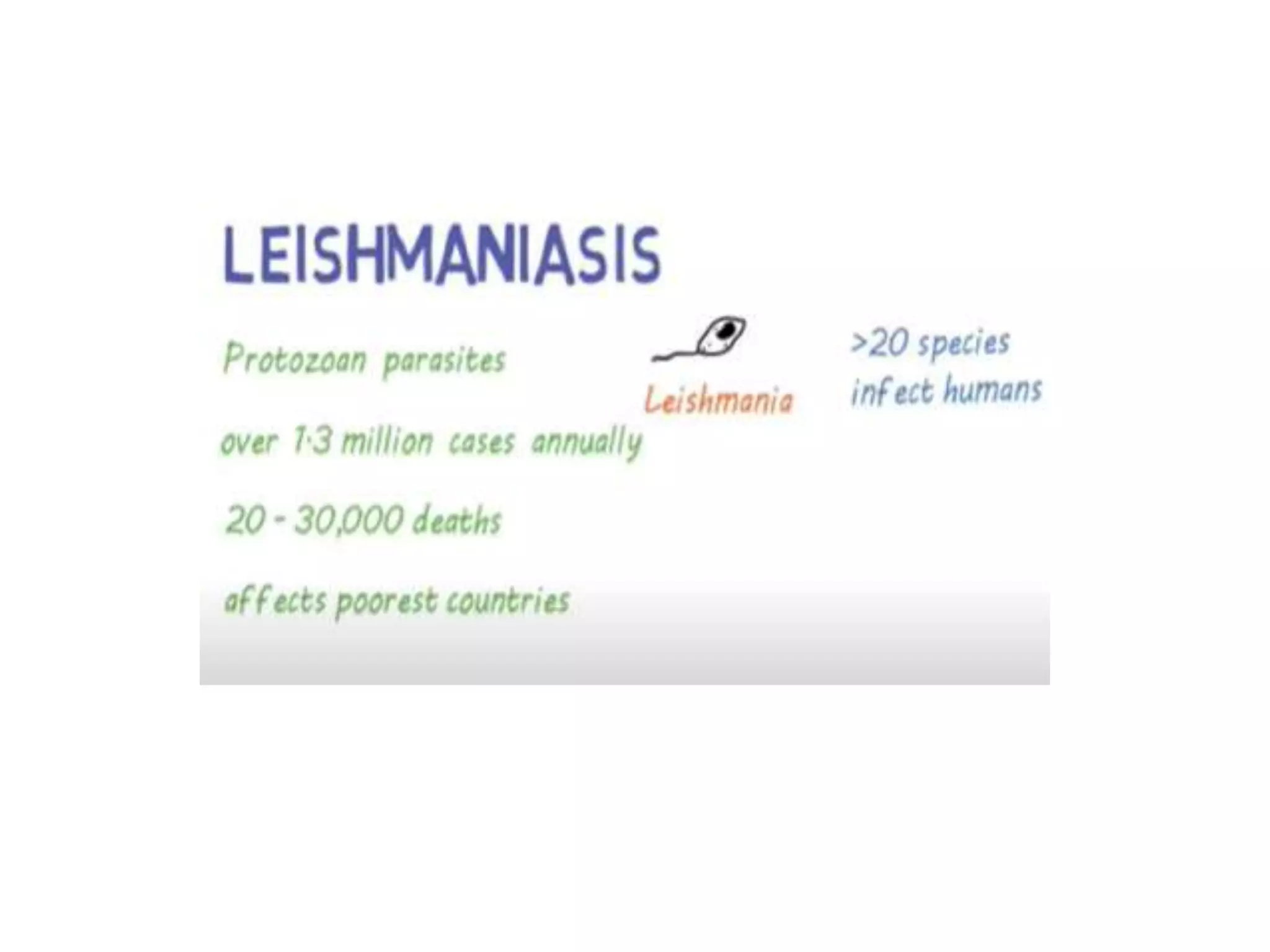 Leishmaniasis | PPTX