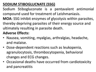 Drugs for Leishmaniasis & Filariasis | PPTX | Infectious Diseases ...