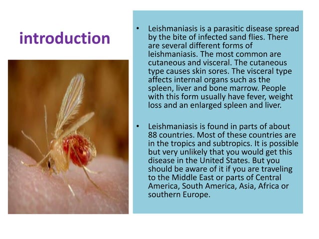 Leishmaniasis | PPTX | Infectious Diseases | Diseases and Conditions