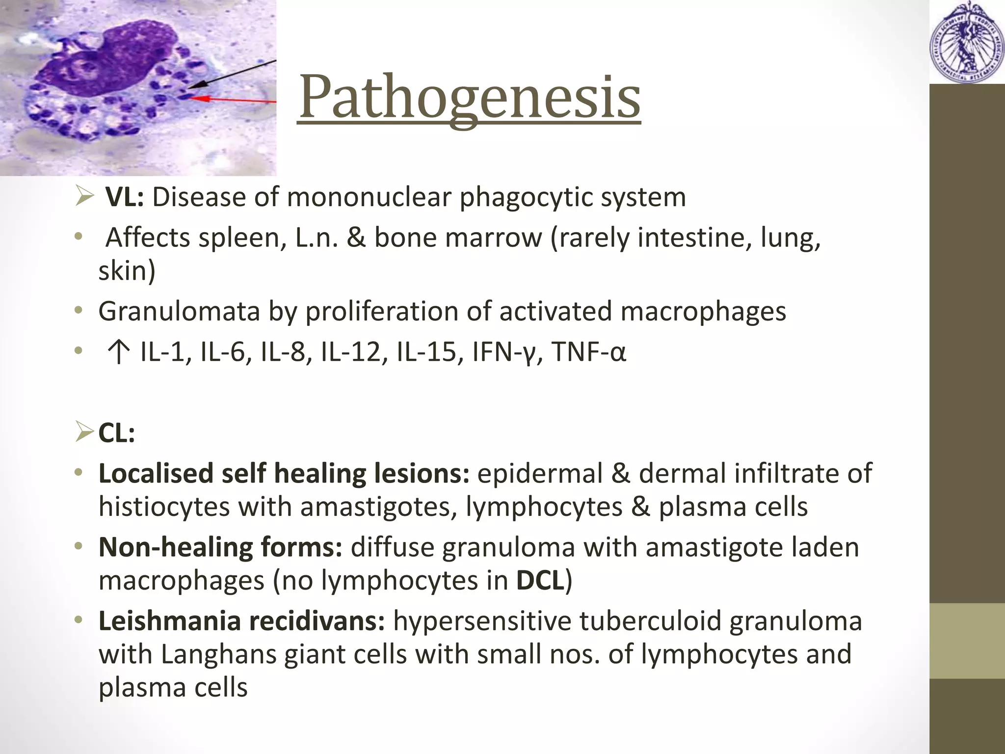 Current Strategies in Diagnosis & Treatment of Leishmaniasis | PPTX