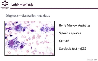Leishmaniasis winter school tropical diseases unesp alexandre barbosa 2018 | PPTX | Infectious ...