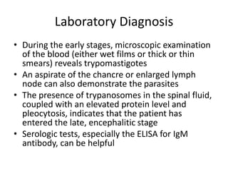 Leishmania and Trypanosoma | PPTX