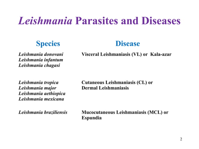 Leishmaniasis | PPT